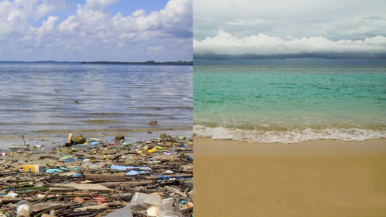 World Environment Day 2018: “If you can’t reuse it, refuse it ...